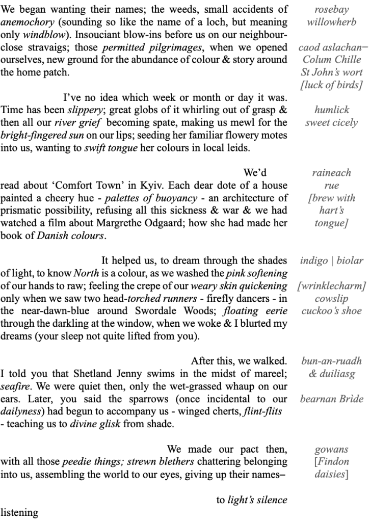 Field Notes – paperboats